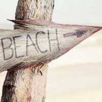 Chwee Kueh (Water Cake with Chai Poh / Preserved Turnip)