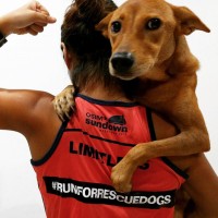 Chinese Apple Pork Ribs Soup (Instant Pot, Slow Cooker, Stove-top)