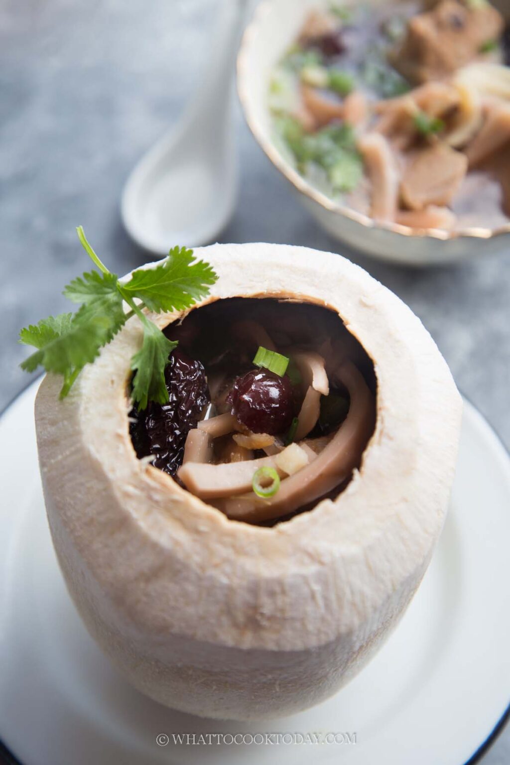 Pressure Cooker Chinese Coconut Soup