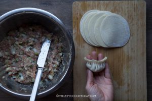 How To Make The Best Jiao Zi (Boiled and Pan-Fried)