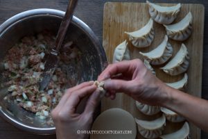 How To Make The Best Jiao Zi (Boiled and Pan-Fried)