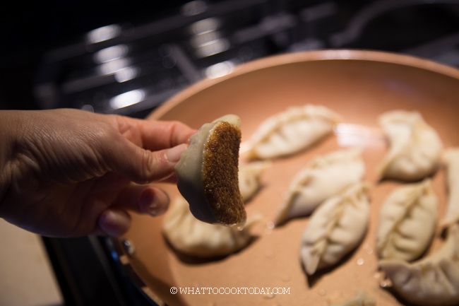 How To Make The Best Jiao Zi (Boiled and Pan-Fried)
