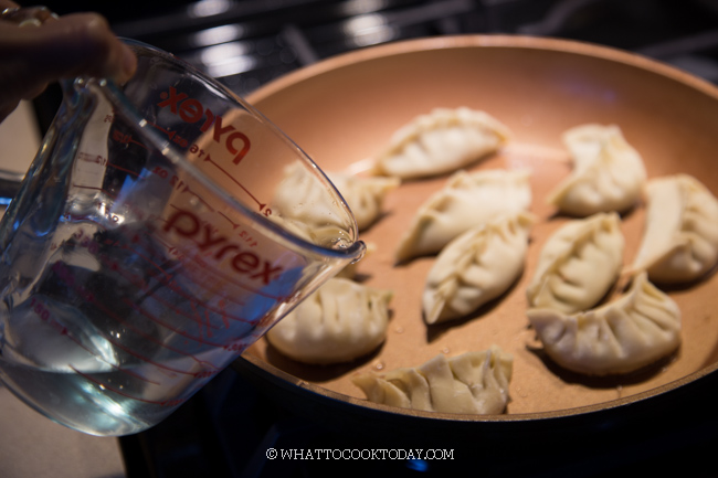 How To Make The Best Jiao Zi (Boiled and Pan-Fried)