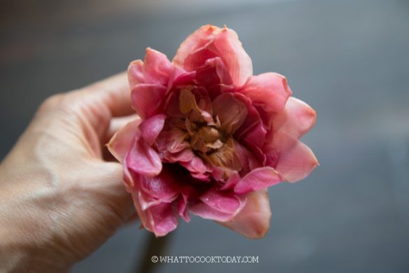 Penang Asam/Assam Laksa (Sour and Spicy Fish Noodle Soup)