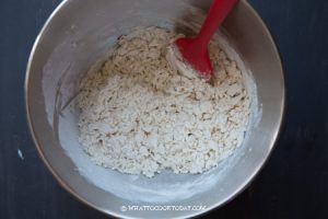 Pan-fried pork and chives buns