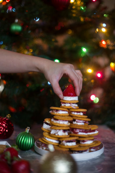 Brie prosciutto cranberries RITZ Crackers tree - What To Cook Today