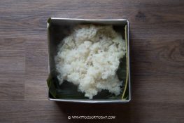 Easy Lemper Ayam (Sticky Rice with Chicken Floss)