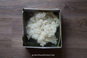 Easy Lemper Ayam (Sticky Rice with Chicken Floss)