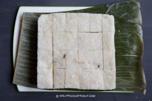 Easy Lemper Ayam (Sticky Rice with Chicken Floss)