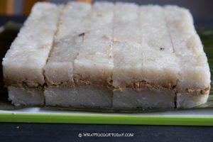 Easy Lemper Ayam (Sticky Rice with Chicken Floss)