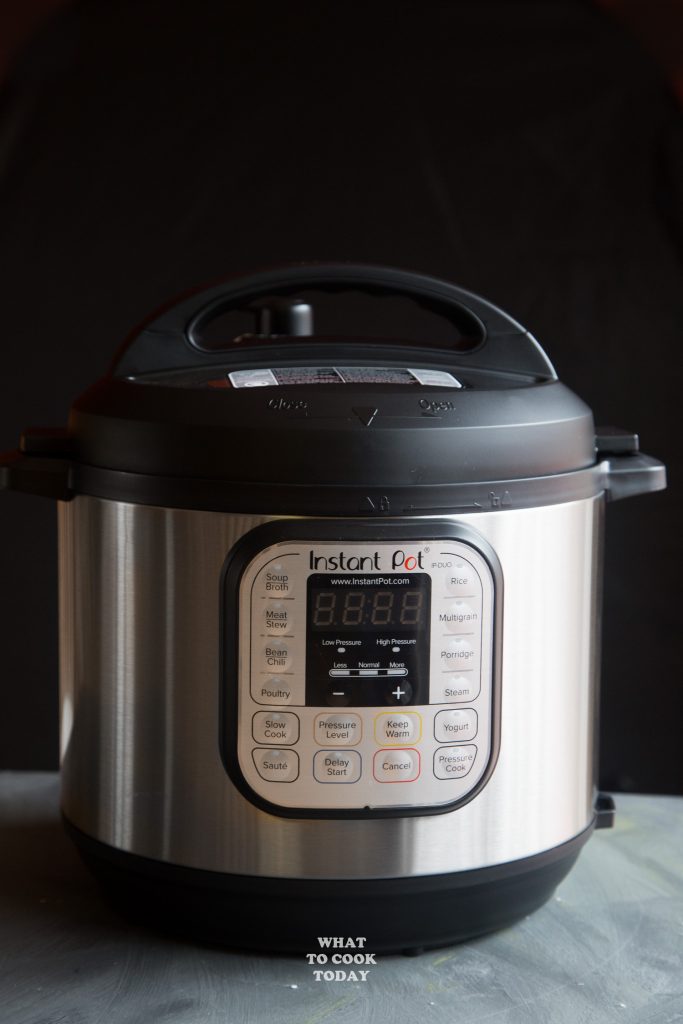 Instant Pot Indonesian Curry Chicken (Kari Ayam) - What To Cook Today