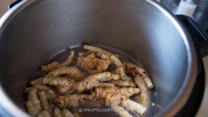 Pressure Cooker Braised Dim Sum Chicken Feet (Phoenix Claws)
