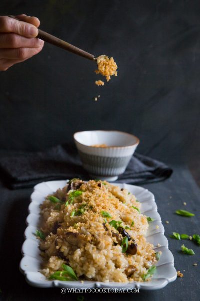 Instant Pot Asian Sticky Rice Stuffing