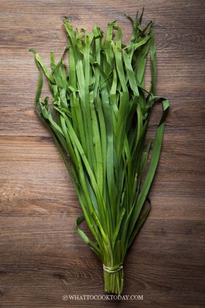 Kanom Gui Chai Tod (Thai Pan-fried Chive Cakes)