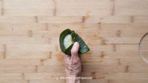 Easy Malaysian Kuih Abok Abok Sago (Wrapped or No-wrap)