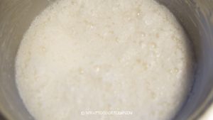 Bai Tang Gao - Pak Thong Koh (Chinese White Honeycomb Cake)