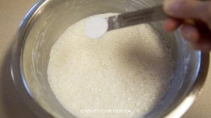 Bai Tang Gao - Pak Thong Koh (Chinese White Honeycomb Cake)