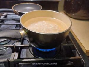 How To Cook Large Tapioca Pearls/ Large Sago Pearls and Tapioca Pudding