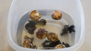 Nyonya / Peranakan Chap Chye (Braised Vegetable Stew)
