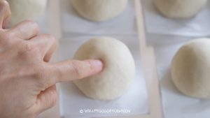 Soft Fluffy Steamed Custard Buns (Nai Wong Bao/ 奶黄包)
