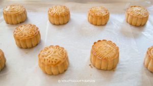 Mixed Nuts and Fruits Mooncake (Wu Ren Yue Bing) - No Golden Syrup