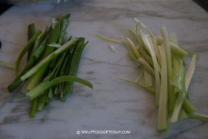 Easy Pek Cha Kwetiau / Kwetiau Goreng Polos (Plain Char Kway Teow ...