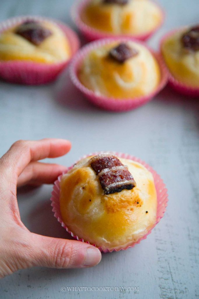 Soft Fluffy Bak Kwa Milk Buns (Meat Jerky Buns) - Tangzhong