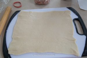 Chinese Cow's Ear Cookie/Biscuit