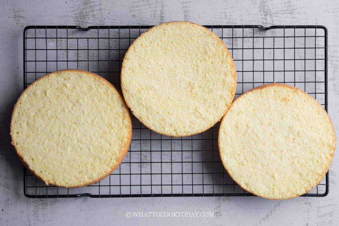 Easy Genoise Sponge Cake