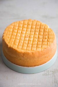 Easy Genoise Sponge Cake
