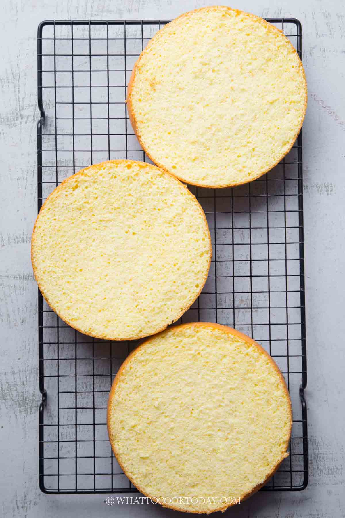Easy Genoise Sponge Cake