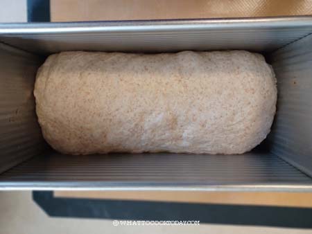 Soft Wholemeal /Whole Wheat Pullman Loaf (Pain De Mie)