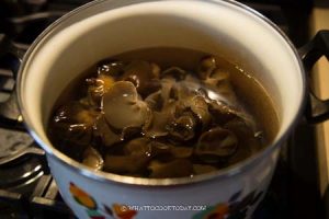 Wood Ear Mushroom/Black Fungus Salad (凉拌木耳)