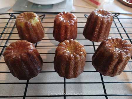 Canelé de Bordeaux (No Beeswax) - Assorted Flavor