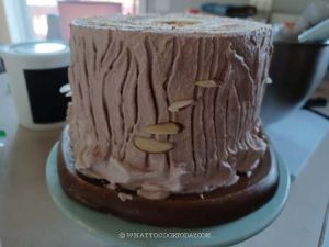Chocolate Yule Log Tree Stump Cake (with Vertical Layer)