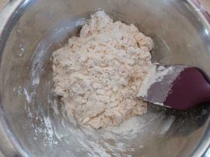 Ma Hwa / Mahua 麻花 / Kue Untir Untir (Chinese Twisted Fried Dough)