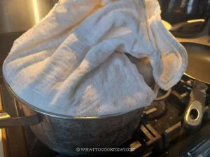 Chinese Steamed Osmanthus Rice Cake (桂花糕)