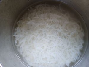 Homemade Chinese Potato/Sweet Potato Starch Noodles