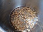 Teochew Guang Jiang (Vegetarian Bean Curd Rolls)