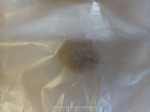 Pandan Choux Au Craquelin (with Coconut Pastry Cream)