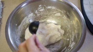 Teochew Dumplings / Chiu Chow Fen Guo / Fun kor (潮州粉果)