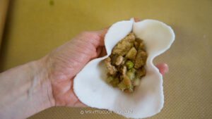 Teochew Dumplings / Chiu Chow Fen Guo / Fun kor (潮州粉果)