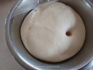 Shio Pan / Japanese Buttery Salty Bread (Poolish or Sourdough options)