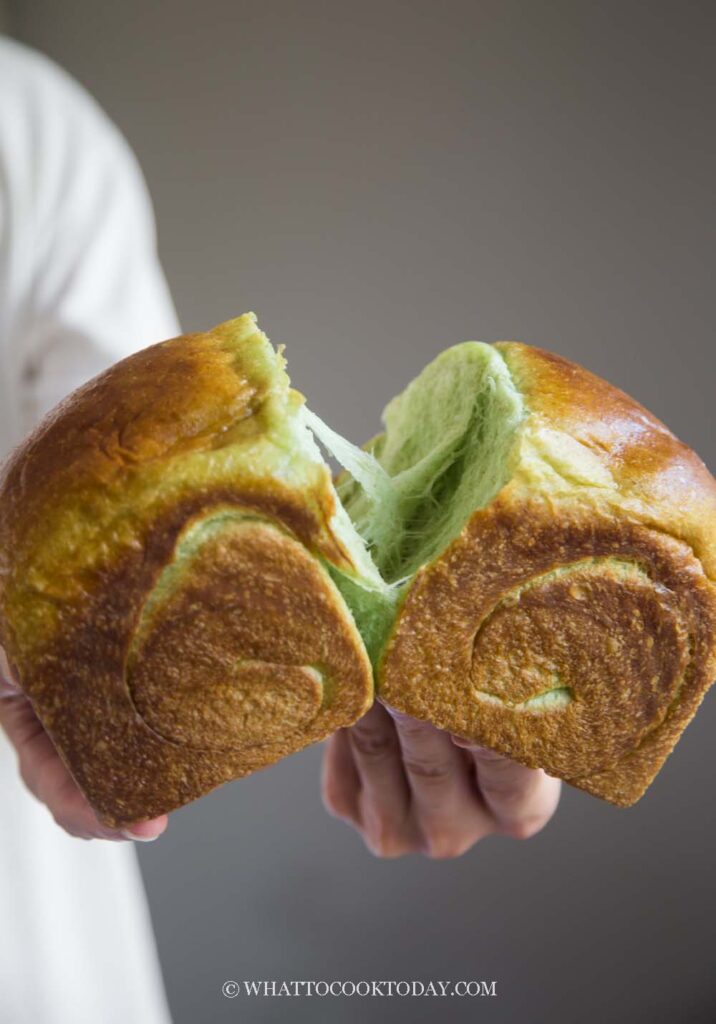 Easy Beginner Sourdough Pandan Milk Bread Loaf