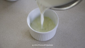 How To Make Ginger Milk Curd/Pudding