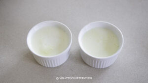 How To Make Ginger Milk Curd/Pudding