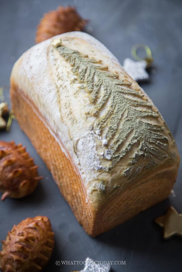 Shokupan with Easy Christmas Tree Scoring and Chocolate Pine Cone Rolls