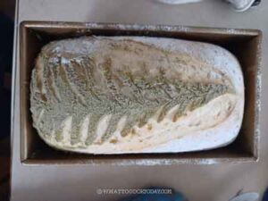 Shokupan with Easy Christmas Tree Scoring and Chocolate Pine Cone Rolls