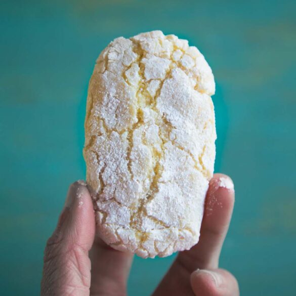 Pulla/Nisu/Nisua (Finnish Cardamom Coffee Bread)- with sourdough option