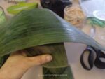 Banh Tet / Vietnamese Sticky Rice Cake (Instant Pot or Stove-Top)